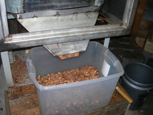 A Bumper Crop of Pecans - Cottage at the Crossroads