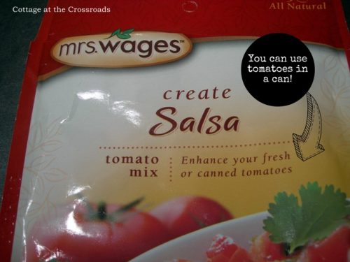 Quick Homemade Salsa - Cottage at the Crossroads