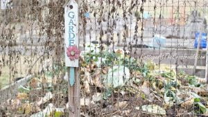 Winter in the Garden - Cottage at the Crossroads