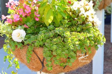 Flower Baskets on Wooden Posts