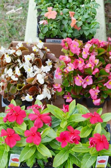 Flower Baskets on Wooden Posts
