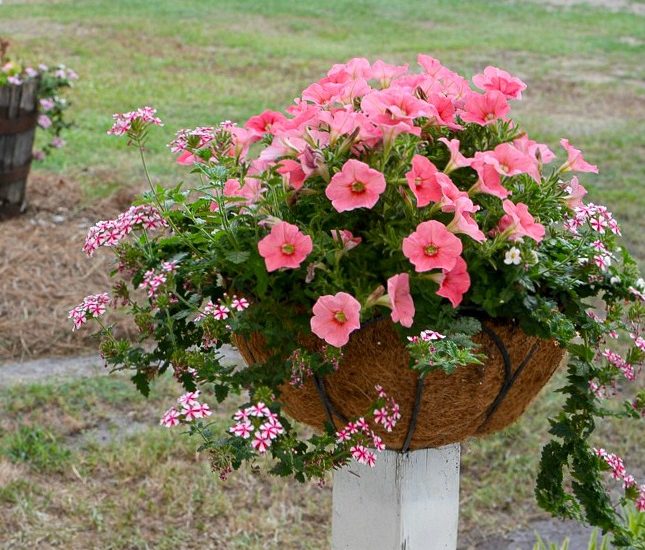 Cottage at the Crossroads