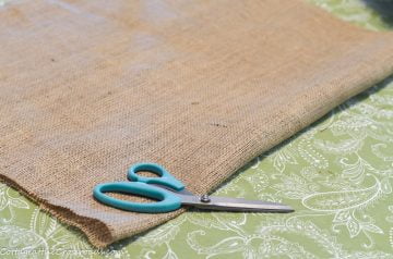 DIY Cotton Seed Bag - Cottage at the Crossroads