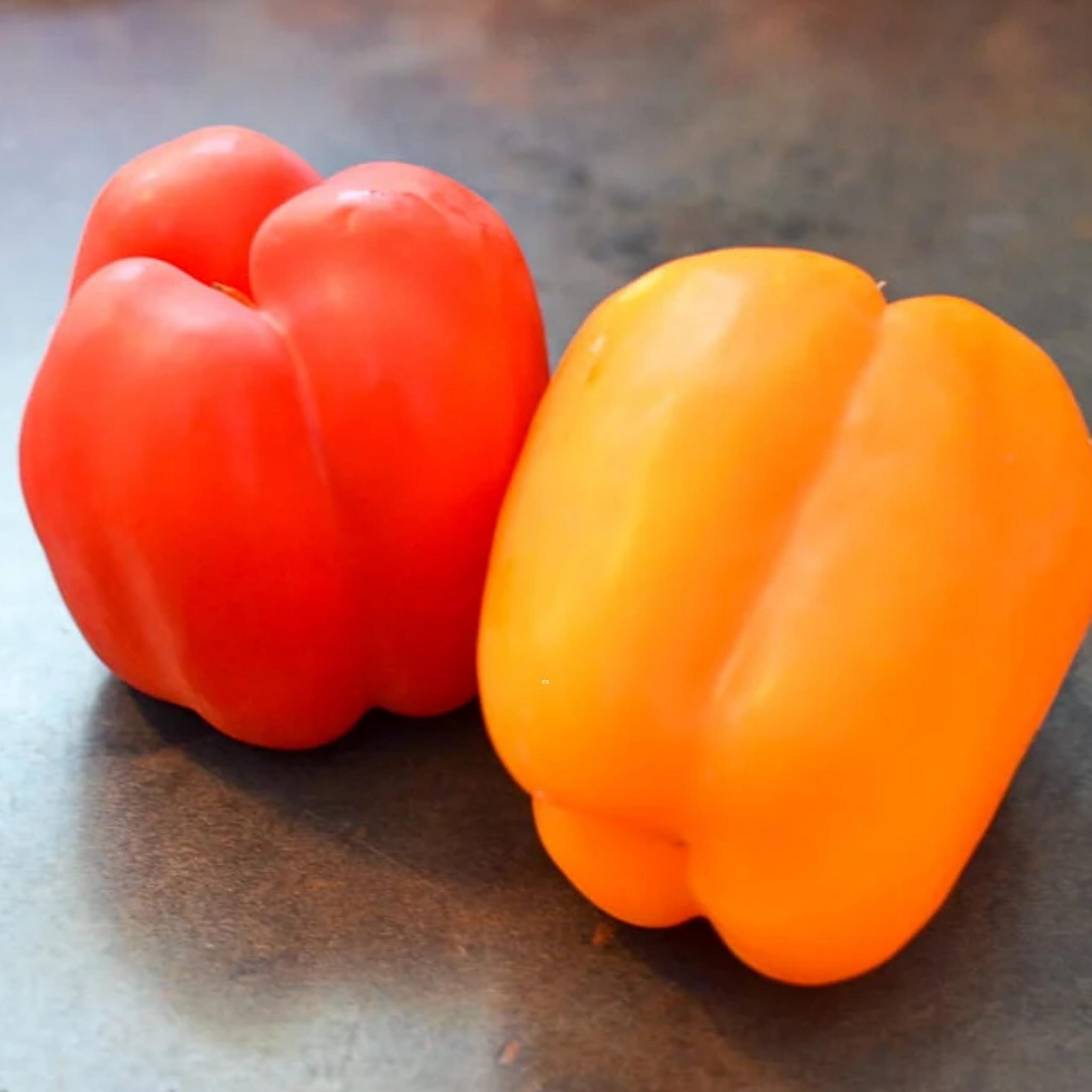 Zucchini Corn Relish - Cottage at the Crossroads