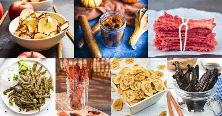 37 Dehydrator Recipes for Healthy Snacks - Cottage at the Crossroads