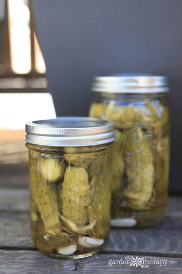 17 Cucumber Canning Recipes To Keep Your Pickles Fresh - Cottage at the ...