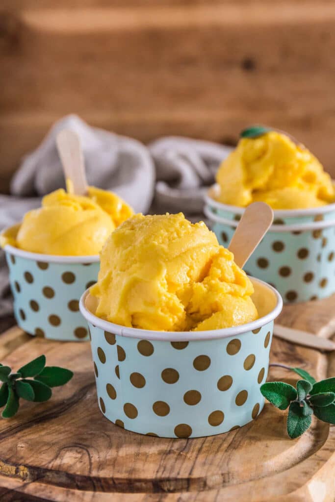 40 Frozen Mango Recipes - Cottage at the Crossroads